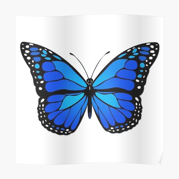 "blue butterfly design" Poster for Sale by shimer | Redbubble