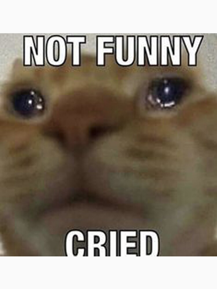 "Not Funny Cried" T-shirt for Sale by rharker09 | Redbubble | memes t ...
