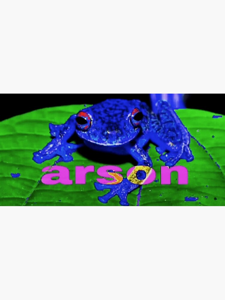 "FROG ARSON" Sticker for Sale by hannah5433 | Redbubble