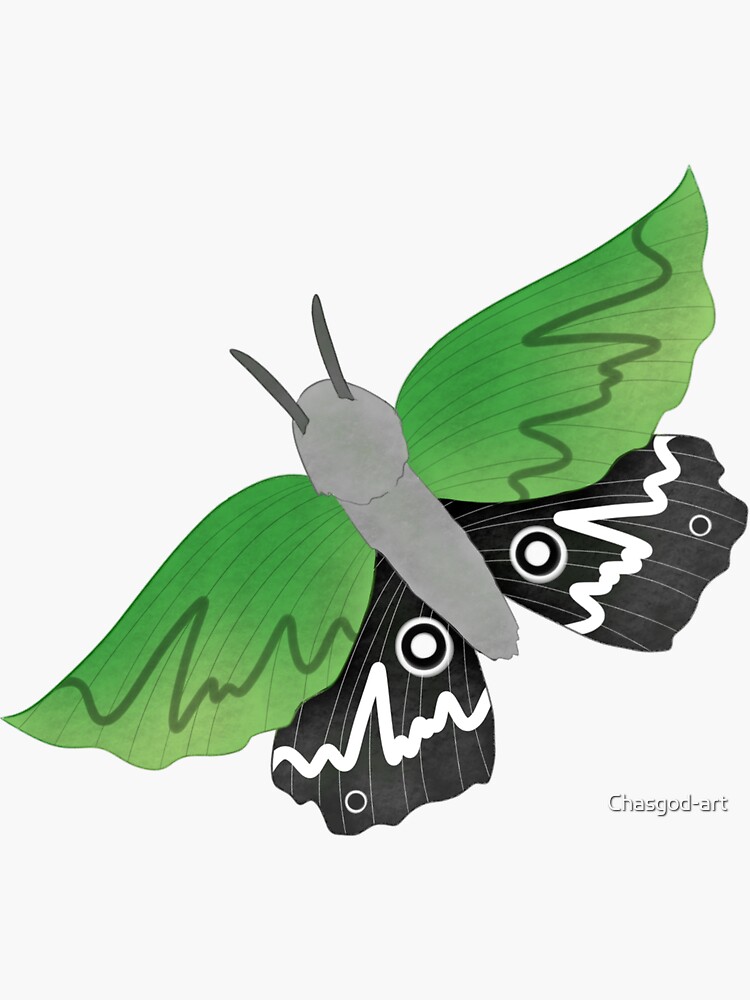 "Pride Moth - Aromantic Flag" Sticker for Sale by Chasgod-art | Redbubble