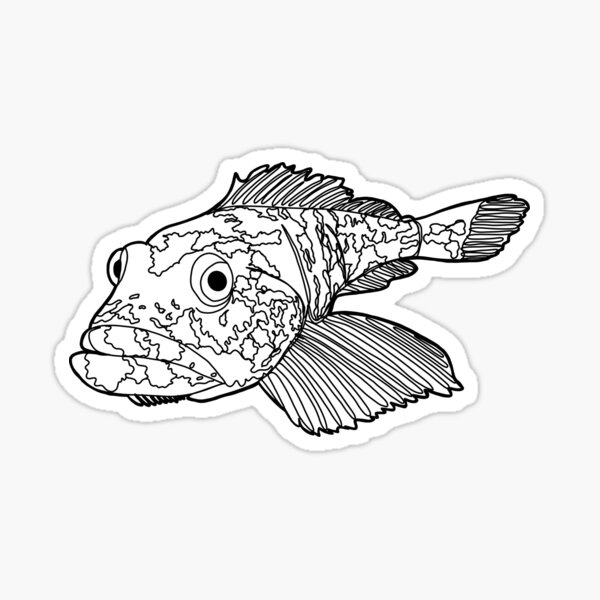 Lingcod Gifts & Merchandise | Redbubble