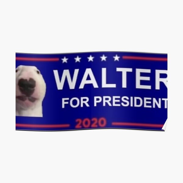 Walter The Dog Posters | Redbubble