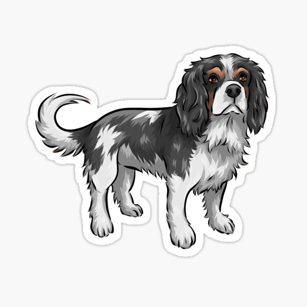 "Cute Cavalier King Charles Spaniel | Tricolour | Cute Dog Art" Sticker ...