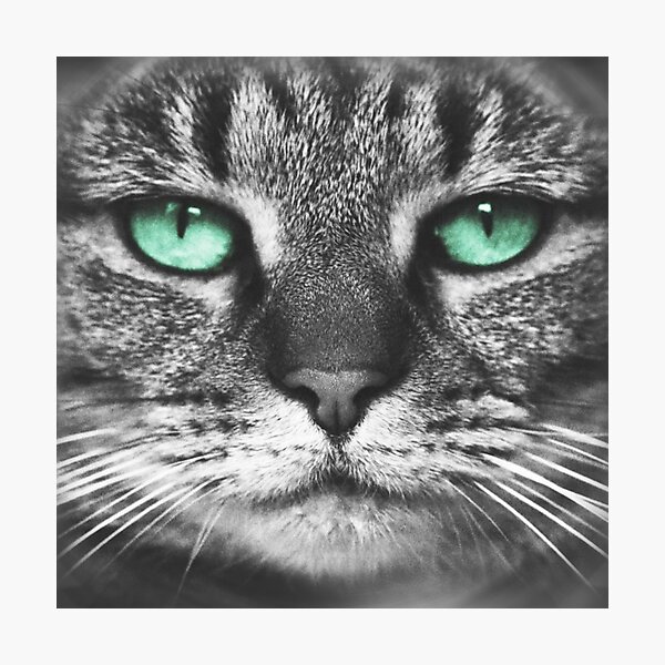 Joe Weller Gifts & Merchandise | Redbubble