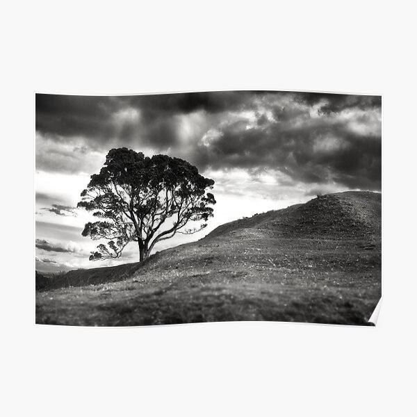 "I Stand" Poster by PedroVI | Redbubble