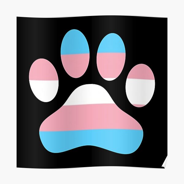 "Transgender Paw Print" Poster for Sale by pikafelix | Redbubble