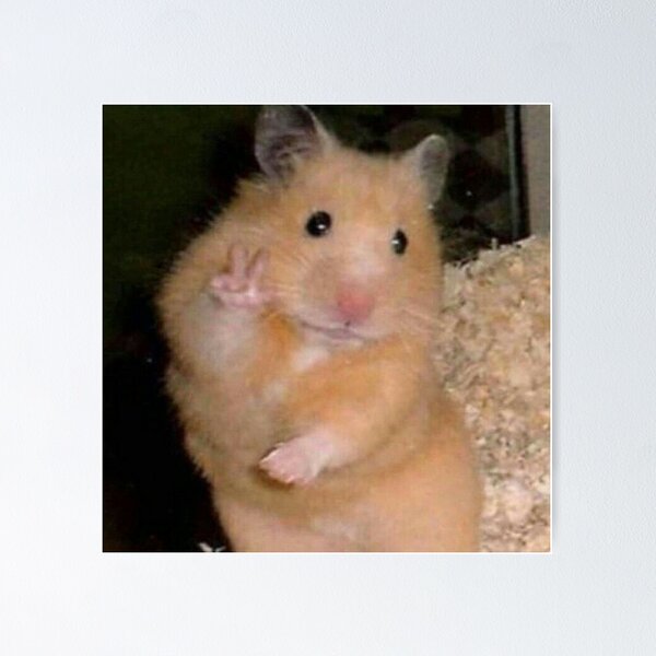 "hamster peace sign meme" Poster for Sale by SAVAGEwav | Redbubble