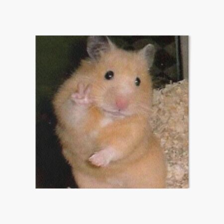 "hamster peace sign meme" Art Board Print by SAVAGEwav | Redbubble