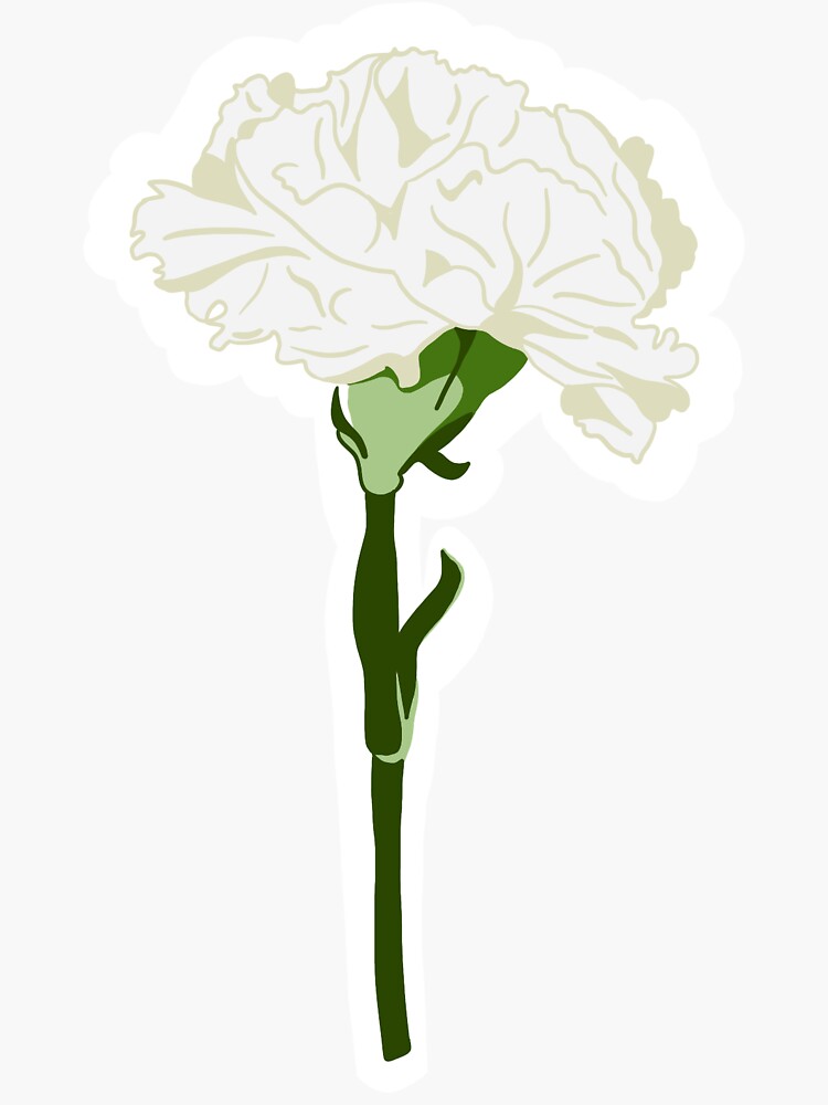 "White Carnation" Sticker for Sale by ShelbiQShaut | Redbubble