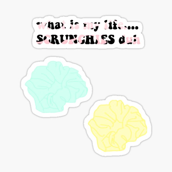 "Scrunchie Sticker Pack" Sticker by itsjustlivvy | Redbubble