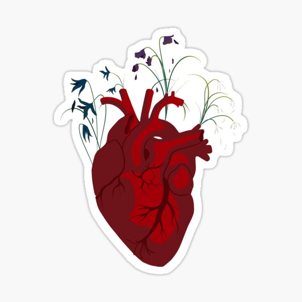 Pegatina «Corazón marchito» de H-Artwork | Redbubble