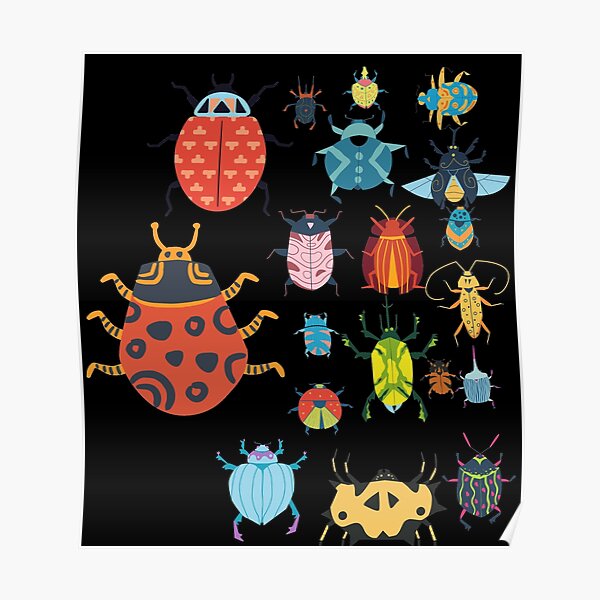 "Beautiful Beetle Collage" Poster by LittleFluff545 | Redbubble