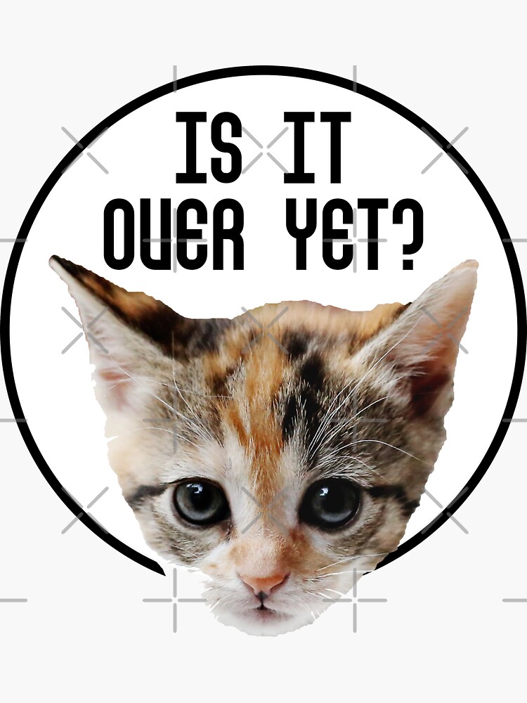 "Is It Over Yet? COVID Kitten Face" Sticker for Sale by bultpruf ...