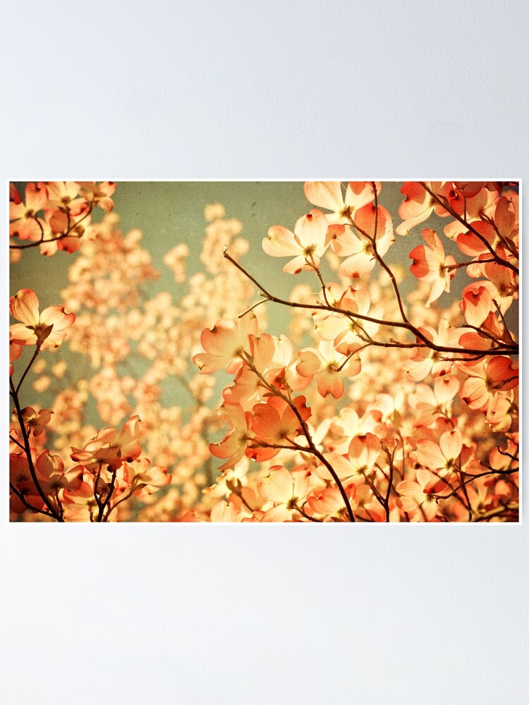 "Vintage Pink Spring Flowers" Poster by oliviastclaire | Redbubble