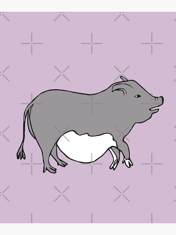 "Cute Potbelly Pig " Poster for Sale by fruitflypie | Redbubble
