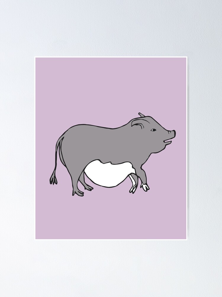 "Cute Potbelly Pig " Poster for Sale by fruitflypie | Redbubble