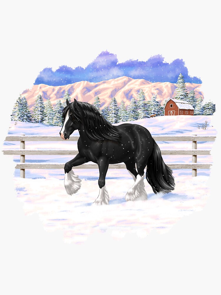 "Black & White Gypsy Vanner Draft Horse In Snow" Sticker for Sale by ...