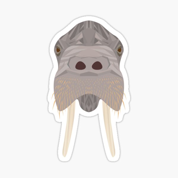 "Walrus" Sticker by aaronkeshen | Redbubble
