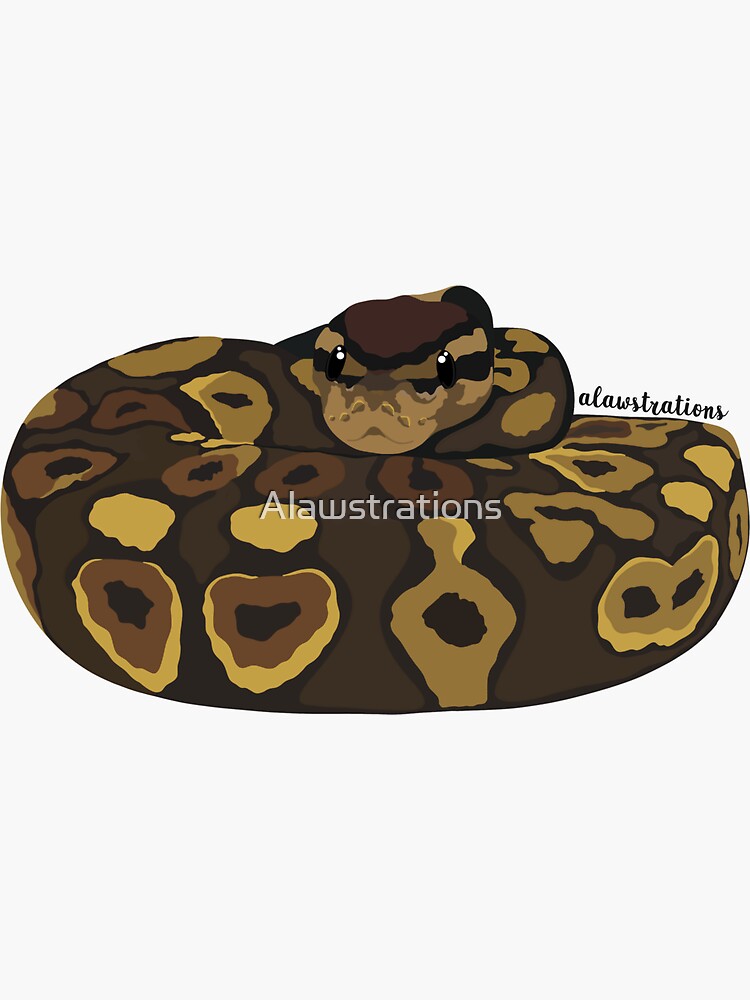 "Royal Python(Python regius)" Sticker for Sale by Alawstrations | Redbubble