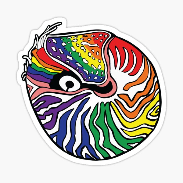 "Rainbow Nautilus" Sticker by stainedstones | Redbubble