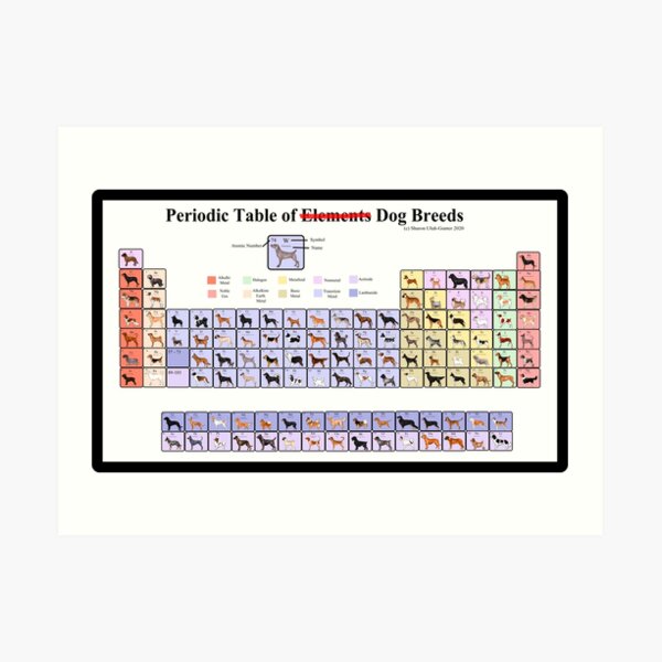 "Periodic Table of Dogs" Art Print by SharonUluh | Redbubble