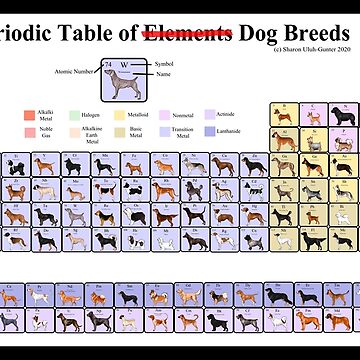 "Periodic Table of Dogs" Poster for Sale by SharonUluh | Redbubble