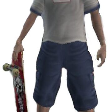 "Tony Hawk" Sticker for Sale by tludsy | Redbubble