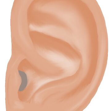 "Human Ear" Sticker for Sale by AriaSaysHello | Redbubble