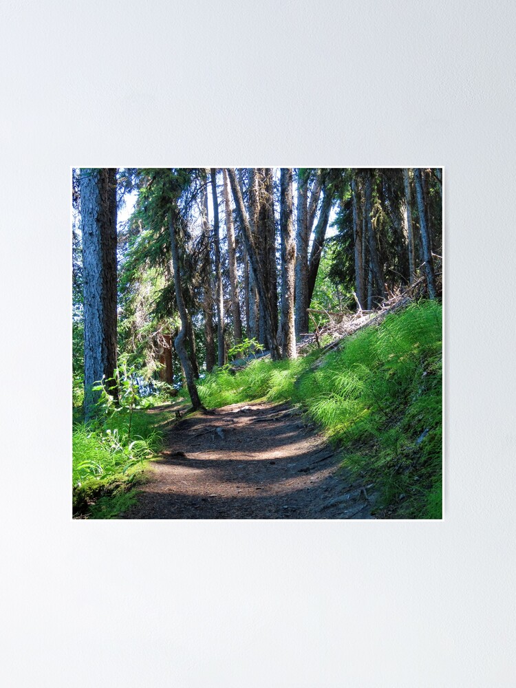 "The Forest Path" Poster for Sale by DigitalGen | Redbubble