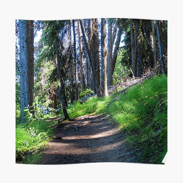"The Forest Path" Poster for Sale by DigitalGen | Redbubble