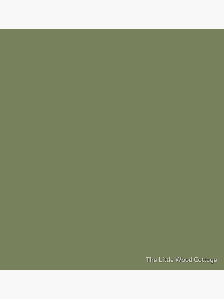 "Sage Green Solid Color" Poster by ROXANNECHEE | Redbubble