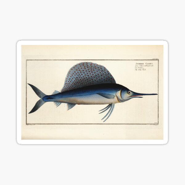 "Vintage German fish illustration - The Ola Fish" Sticker for Sale by ...