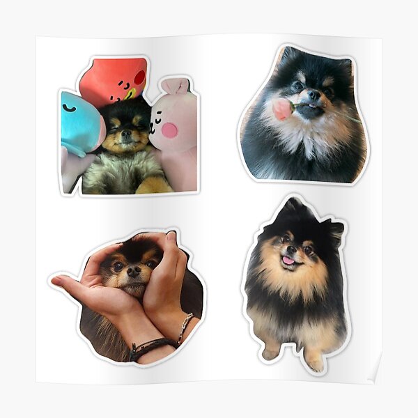 "yeontan sticker/magnet set" Poster for Sale by bluevea | Redbubble