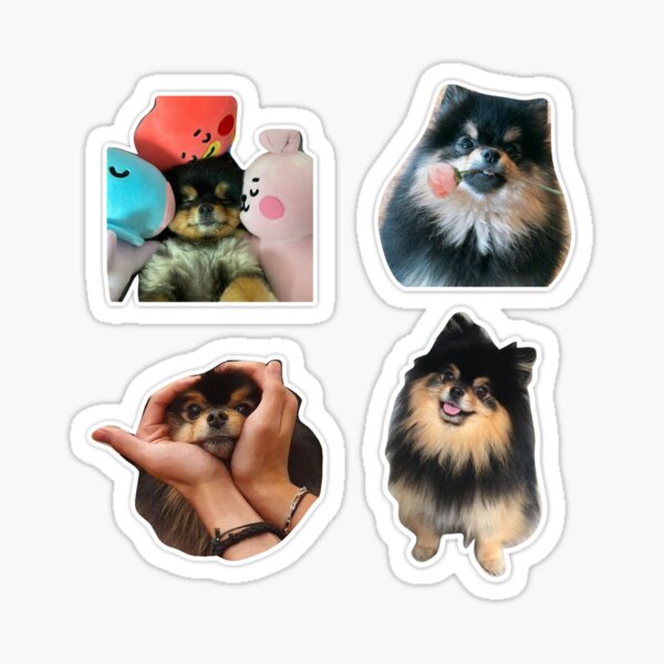 "yeontan sticker/magnet set" Sticker for Sale by bluevea | Redbubble