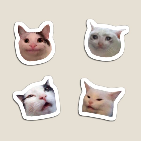 "⭐️ Meme Cat Sticker Pack" Magnet for Sale by VersaceTears | Redbubble