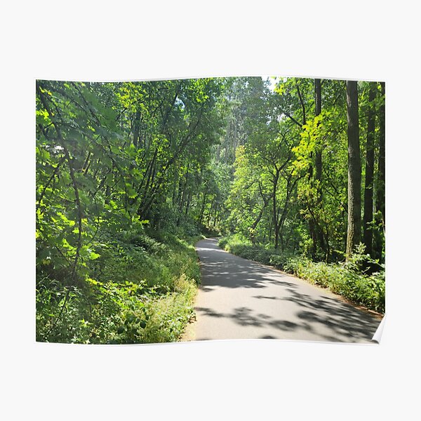 "Forest path" Poster for Sale by RKSDesigns | Redbubble