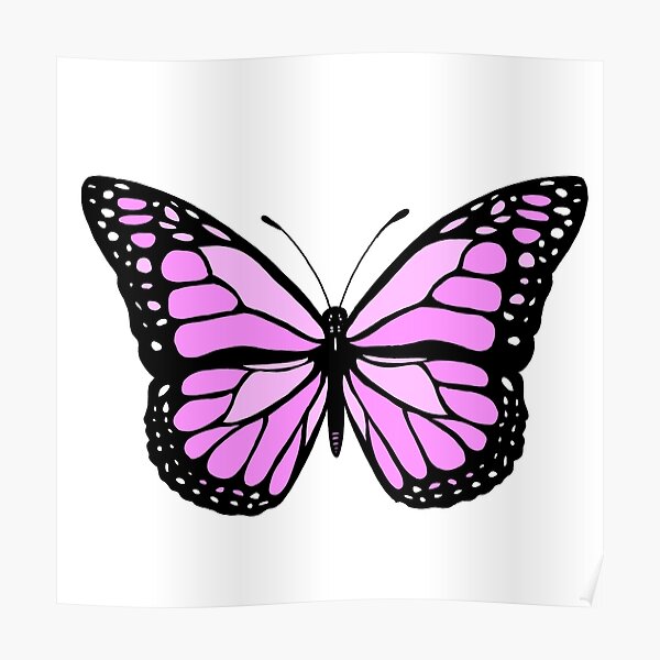 "pink butterfly" Poster for Sale by robinverheul | Redbubble