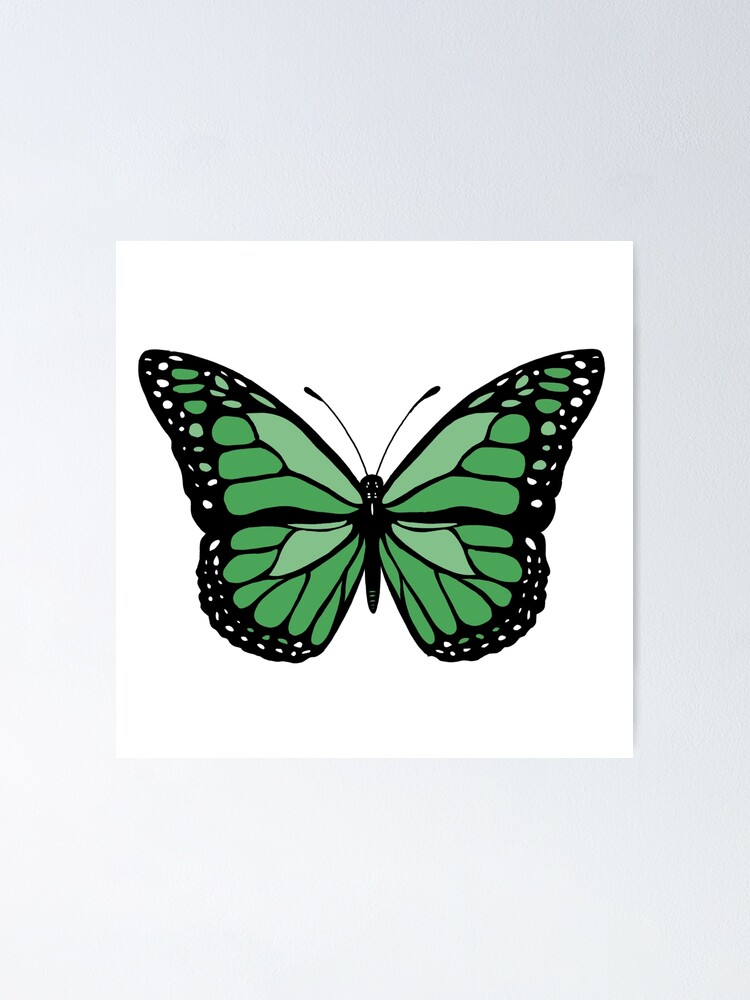 "green butterfly" Poster by robinverheul | Redbubble