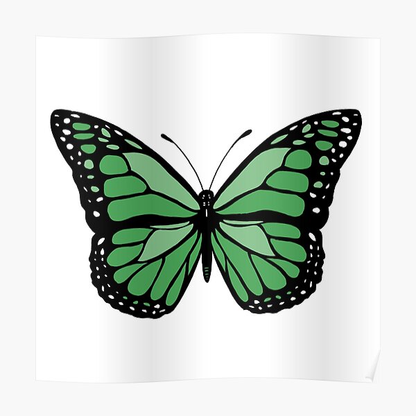 "green butterfly" Poster by robinverheul | Redbubble