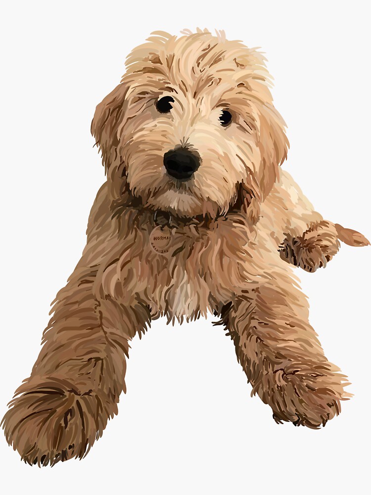 Labradoodle Merch & Gifts for Sale | Redbubble