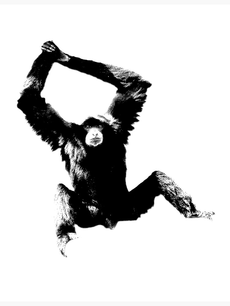 "Siamang Gibbon. Wildlife Digital Engraving Image" Art Print by ...
