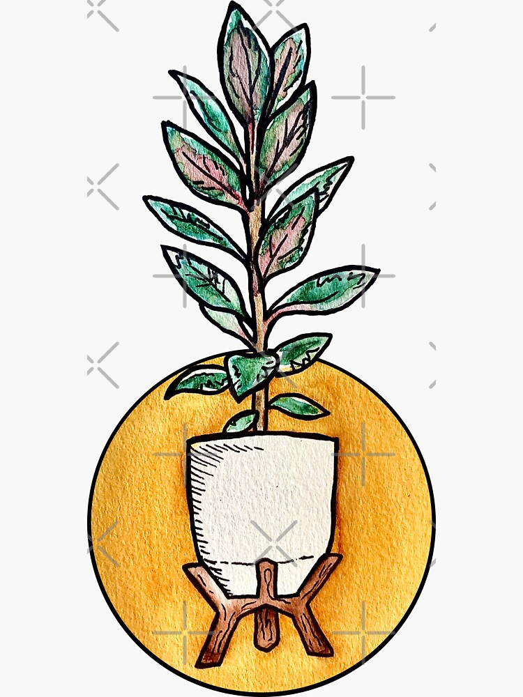"Rubber Tree" Sticker for Sale by mayke920 | Redbubble