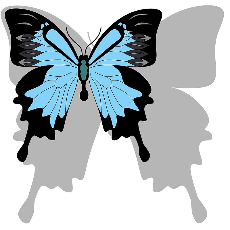 "Blue Backed Butterfly Flying Over Its Shadow" by grounds | Redbubble