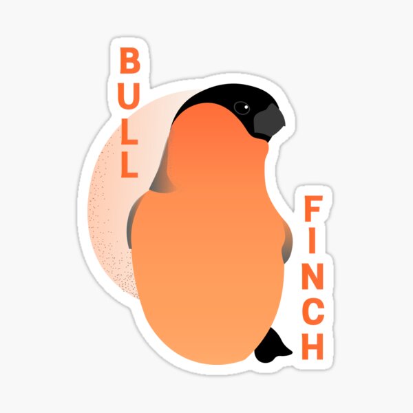 "Bull Finch" Sticker by mknelson | Redbubble