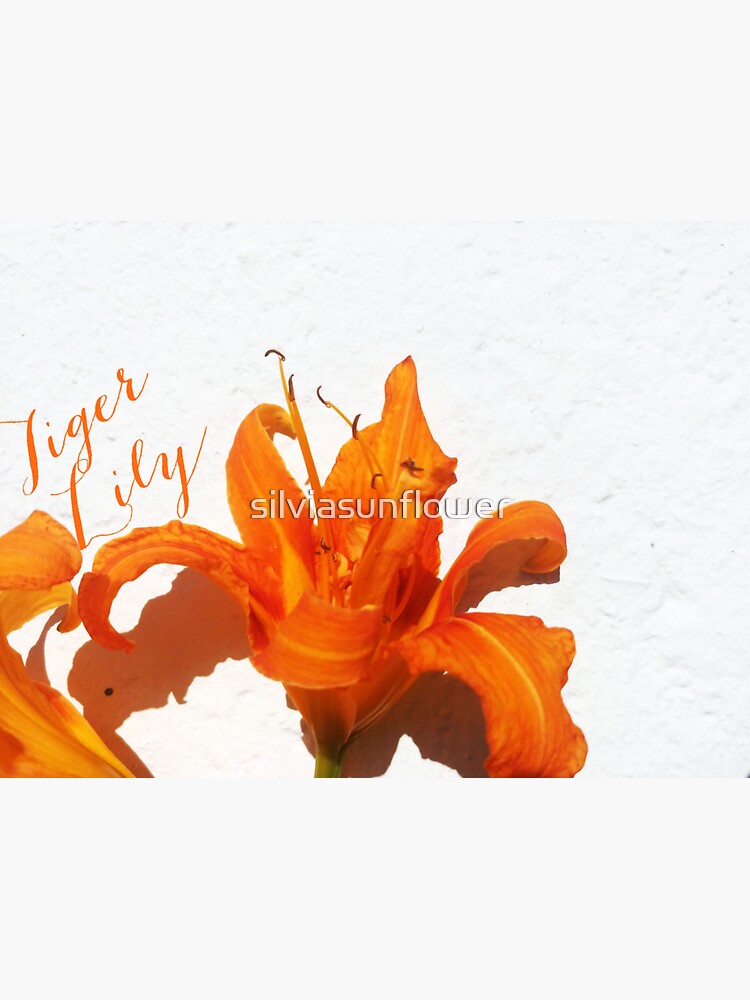 "Tiger Lily. " Sticker by silviasunflower | Redbubble
