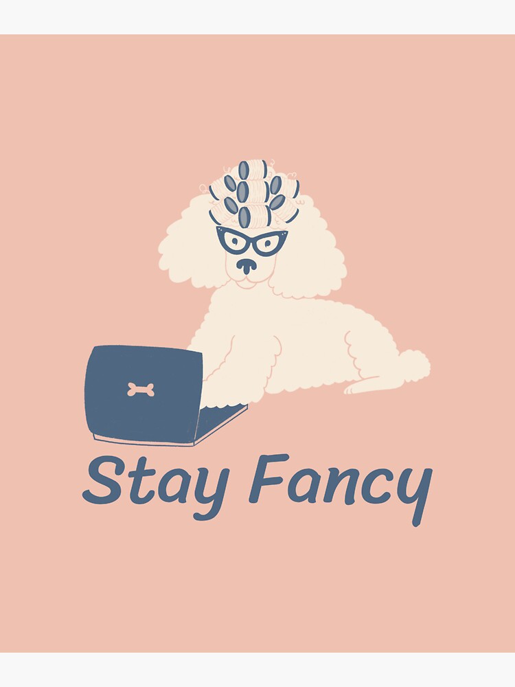 "Stay Fancy" Sticker by AladdinMktgs | Redbubble