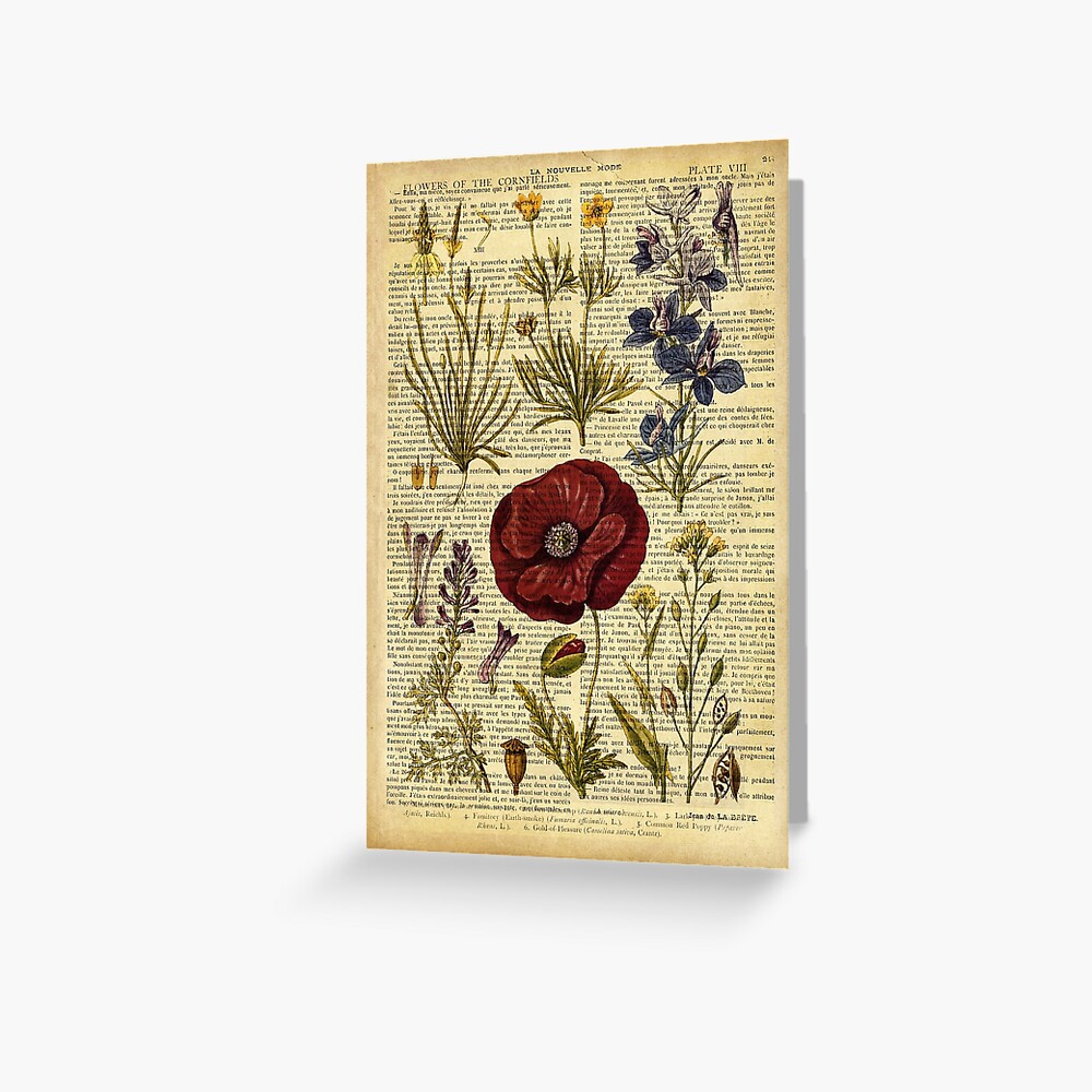 "Botanical print, on old book page - flowers" Greeting Card for Sale by ...