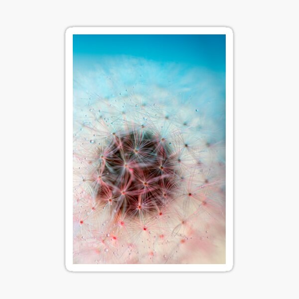 "Nucleus " Sticker by e-kadri | Redbubble