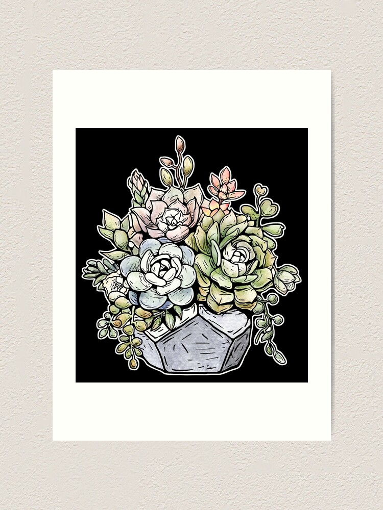"Cactus Cacti Succulent Line Drawing" Art Print by SapGArt | Redbubble