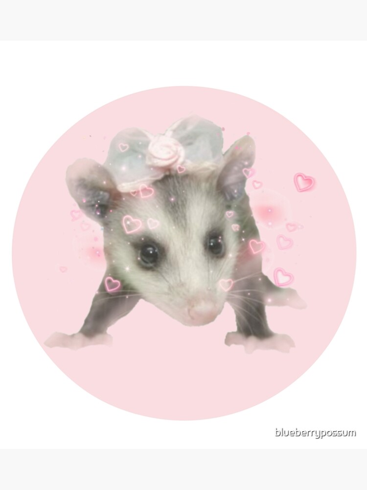 "princess possum" Poster by blueberrypossum | Redbubble